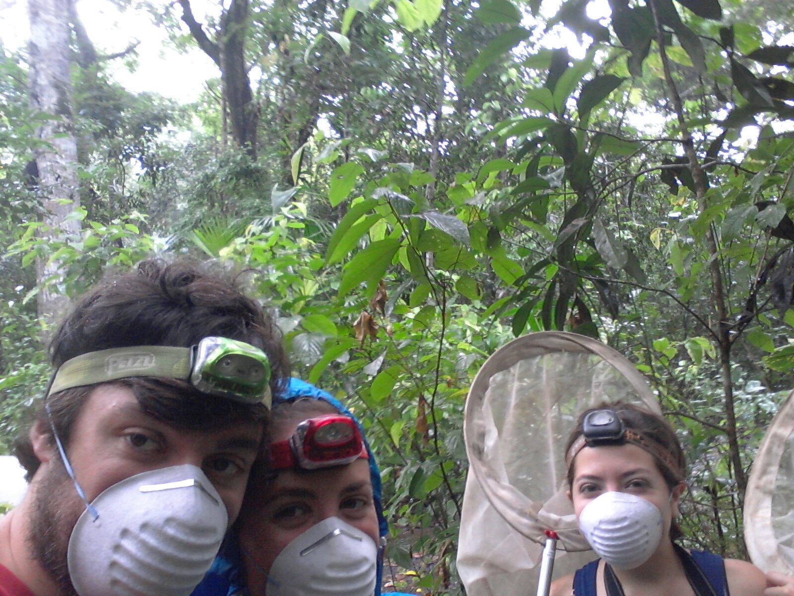 Social structure of frog-eating bats – Carter Lab