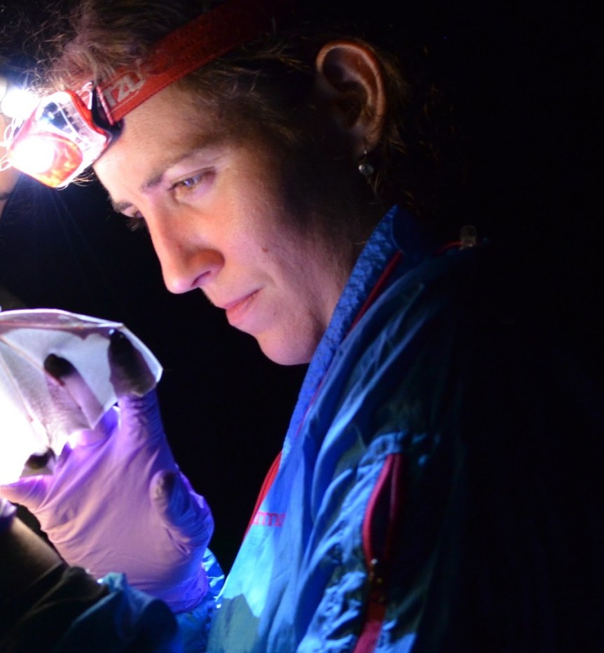 Social structure of frog-eating bats – Carter Lab